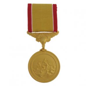 Gold Lifesavig Medal - Air Force Medals & Ribbons