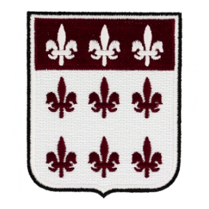 307th Airborne Medical Battalion Patch | Flying Tigers Surplus