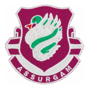 326th Airborne Medical Battalion WWII - Vietnam Assurgam Patch | Flying ...