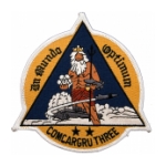 Navy Carrier Air Group Patches (CAG, CVG) | Flying Tigers Surplus