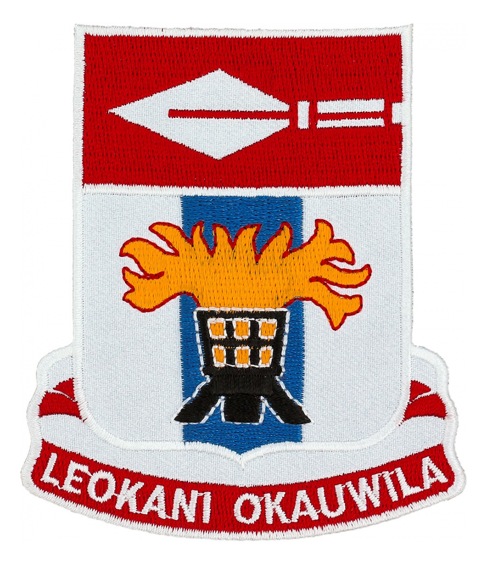 125th Signal Battalion Patch | Flying Tigers Surplus