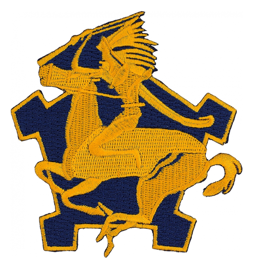 9th Cavalry Regiment Patch | Flying Tigers Surplus