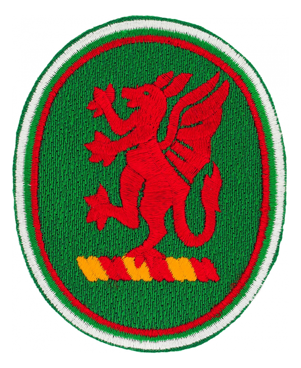 Army Field Artillery Battalion Patches