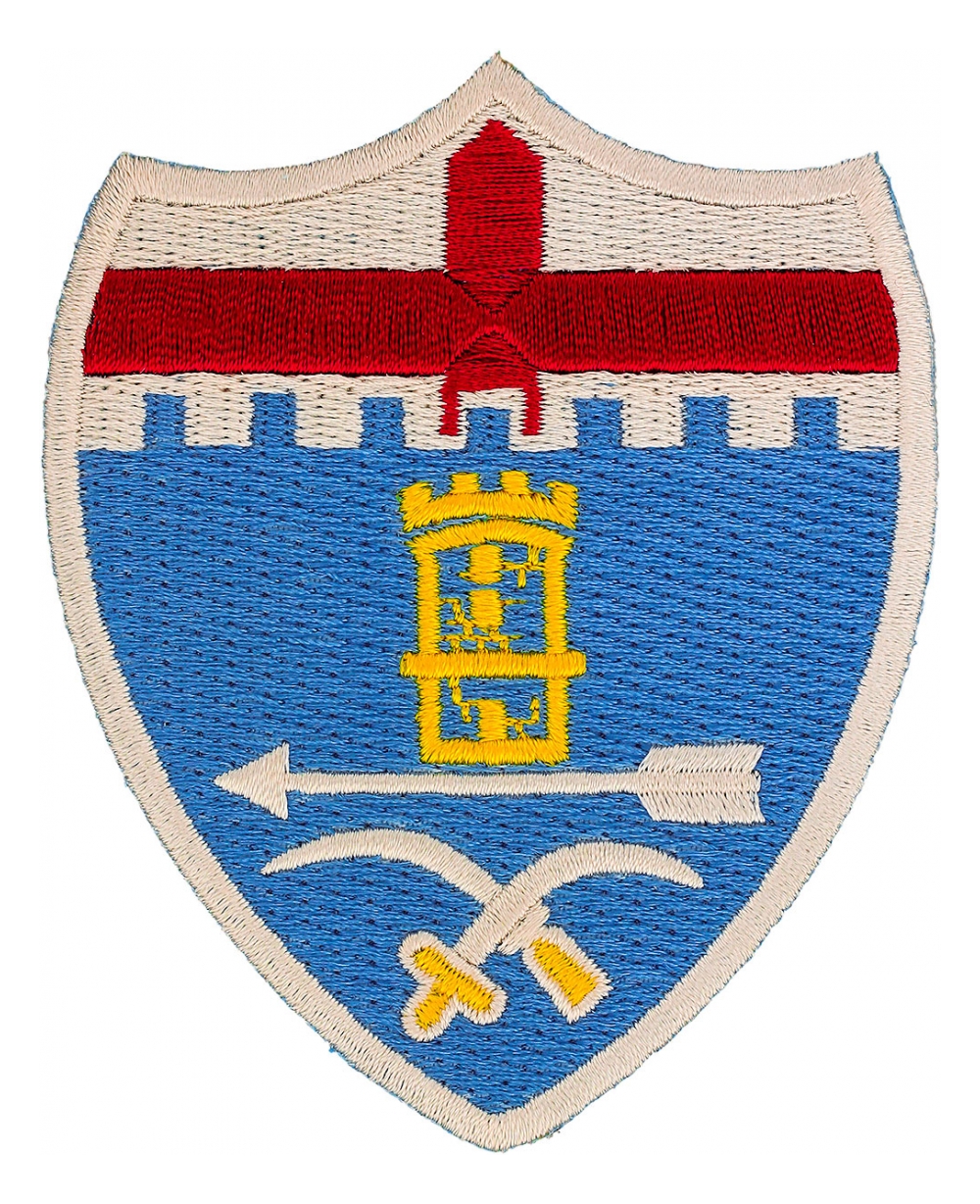 Army 11th Infantry Regiment Patch | Flying Tigers Surplus