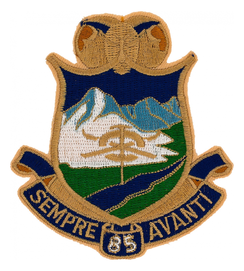 Army 85th Infantry Regiment Patch | Flying Tigers Surplus