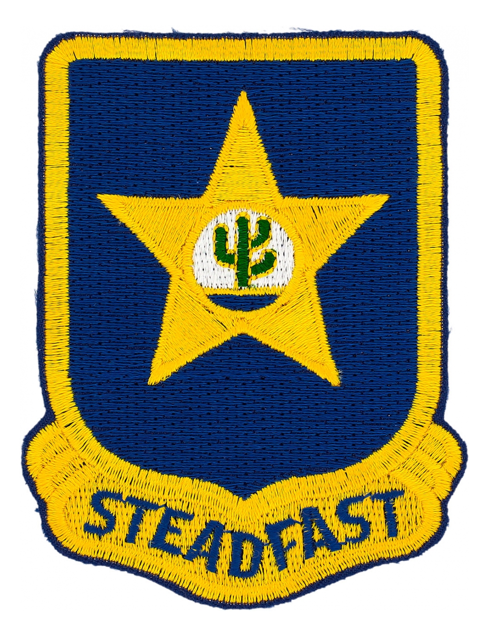 Army Infantry Regiment Patches
