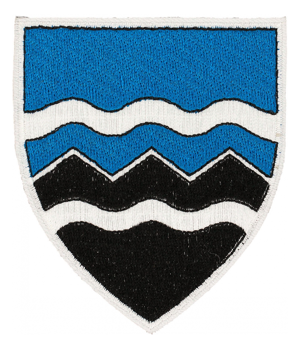 Army 397th Infantry Regiment Patch | Flying Tigers Surplus
