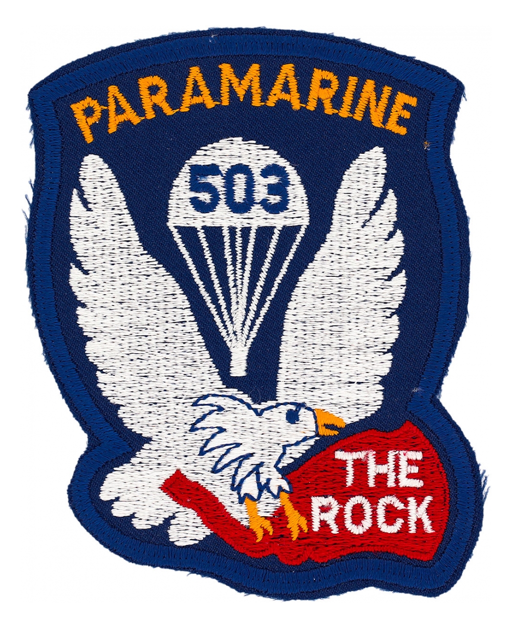 503rd Airborne Infantry Regiment Patch | Flying Tigers Surplus