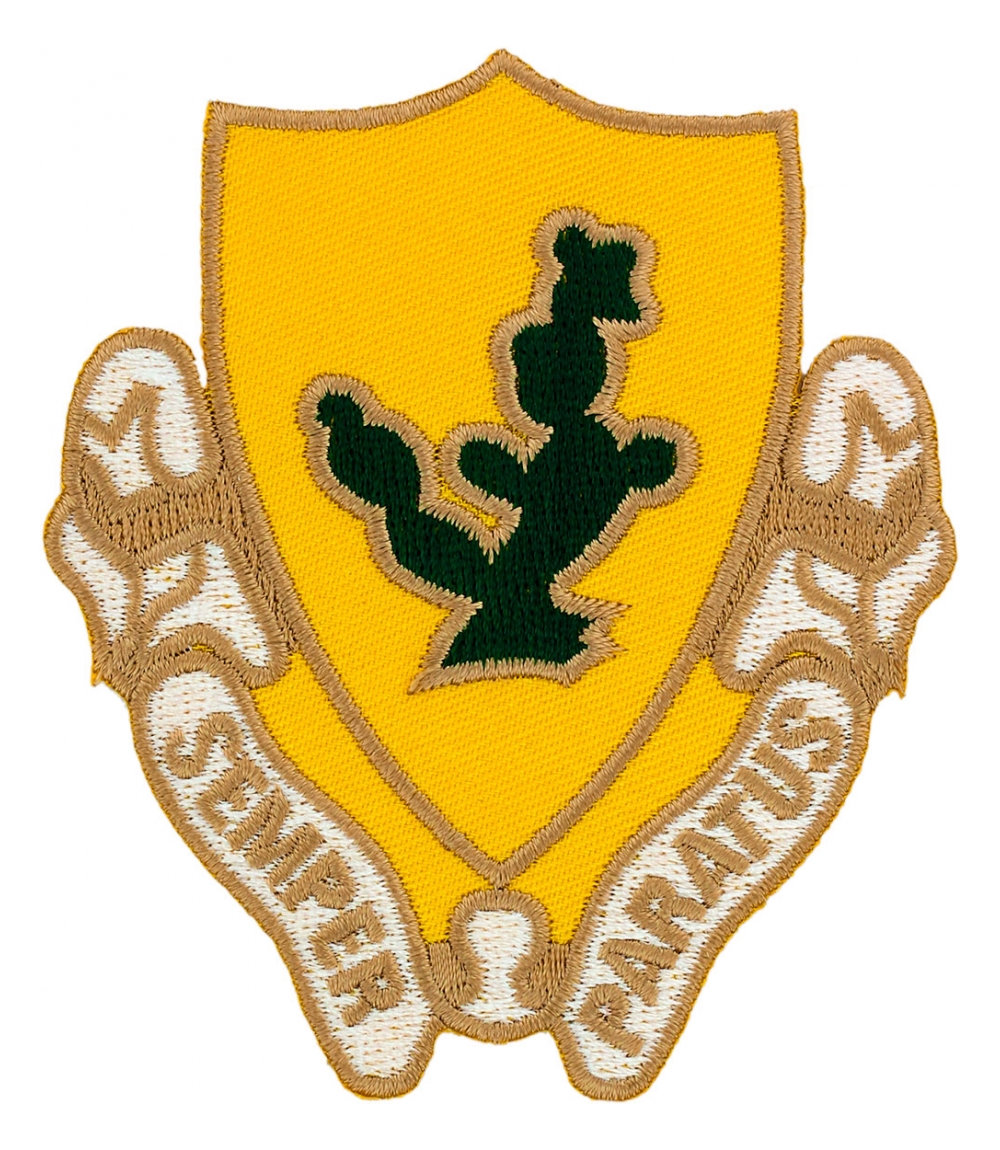 Cavalry Regiment Patches | Flying Tigers Surplus