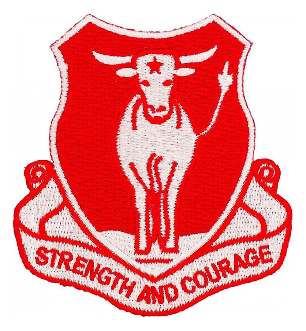 Army Engineer Battalion Patches