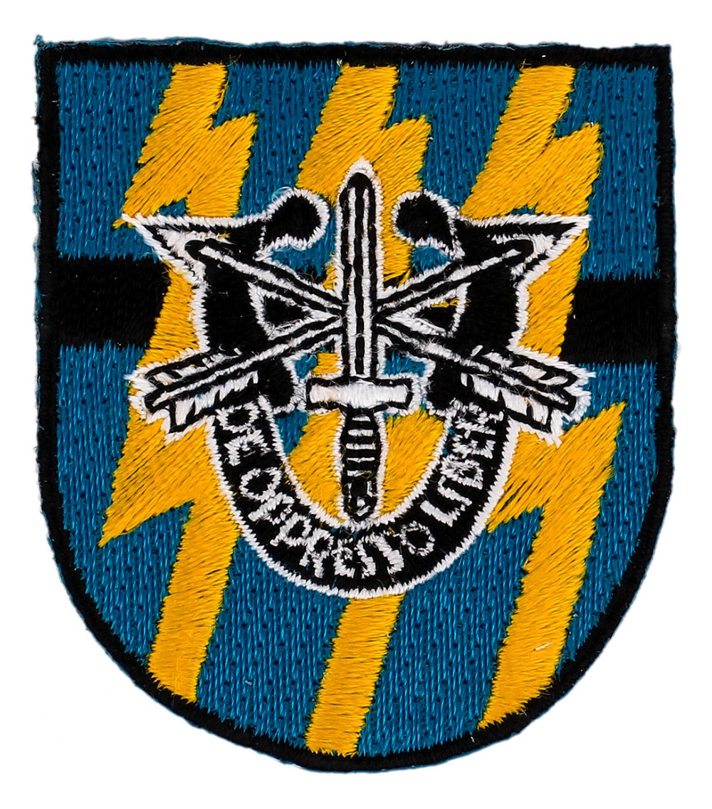 12th Special Forces Group Flash (1972-present) | Flying Tigers Surplus