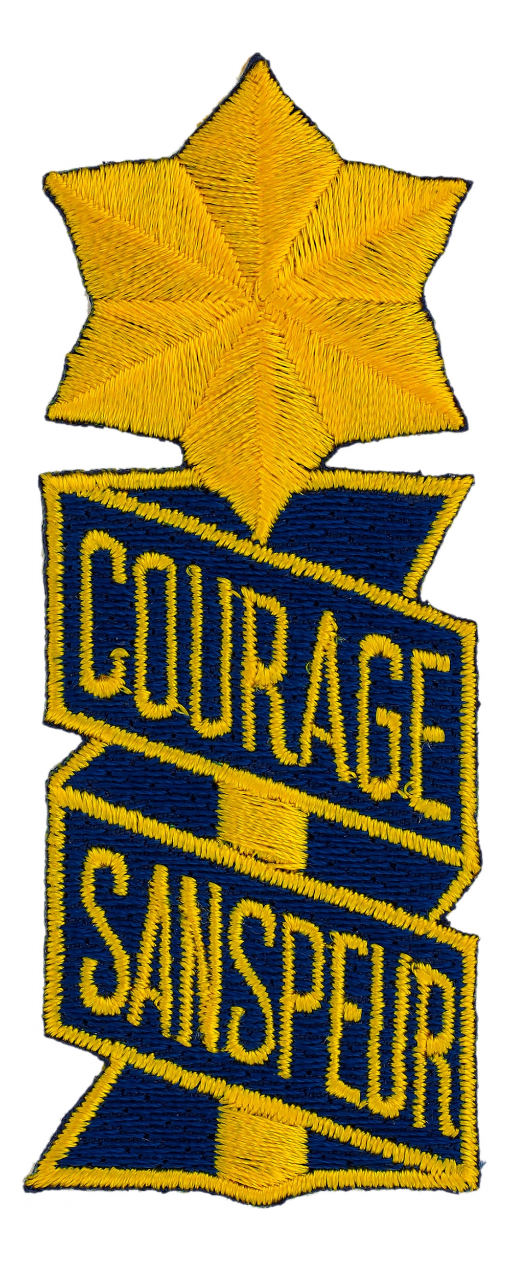 Army 53rd Infantry Regiment Patch | Flying Tigers Surplus