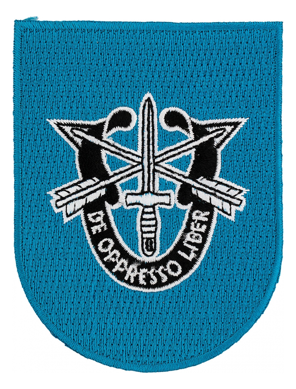 19th Special Forces Group (Large Flash Style Patch) | Flying Tigers Surplus