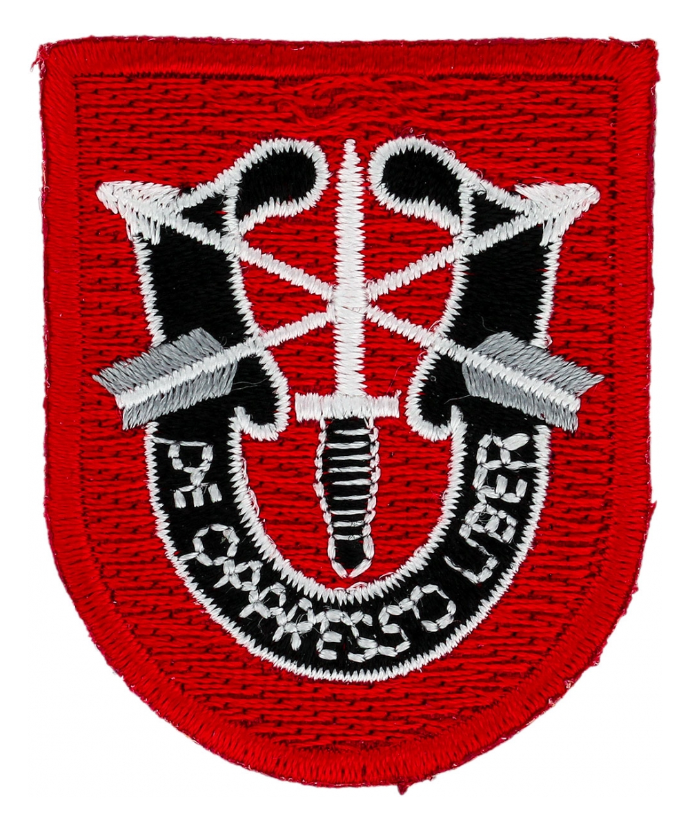 Flash Insignia