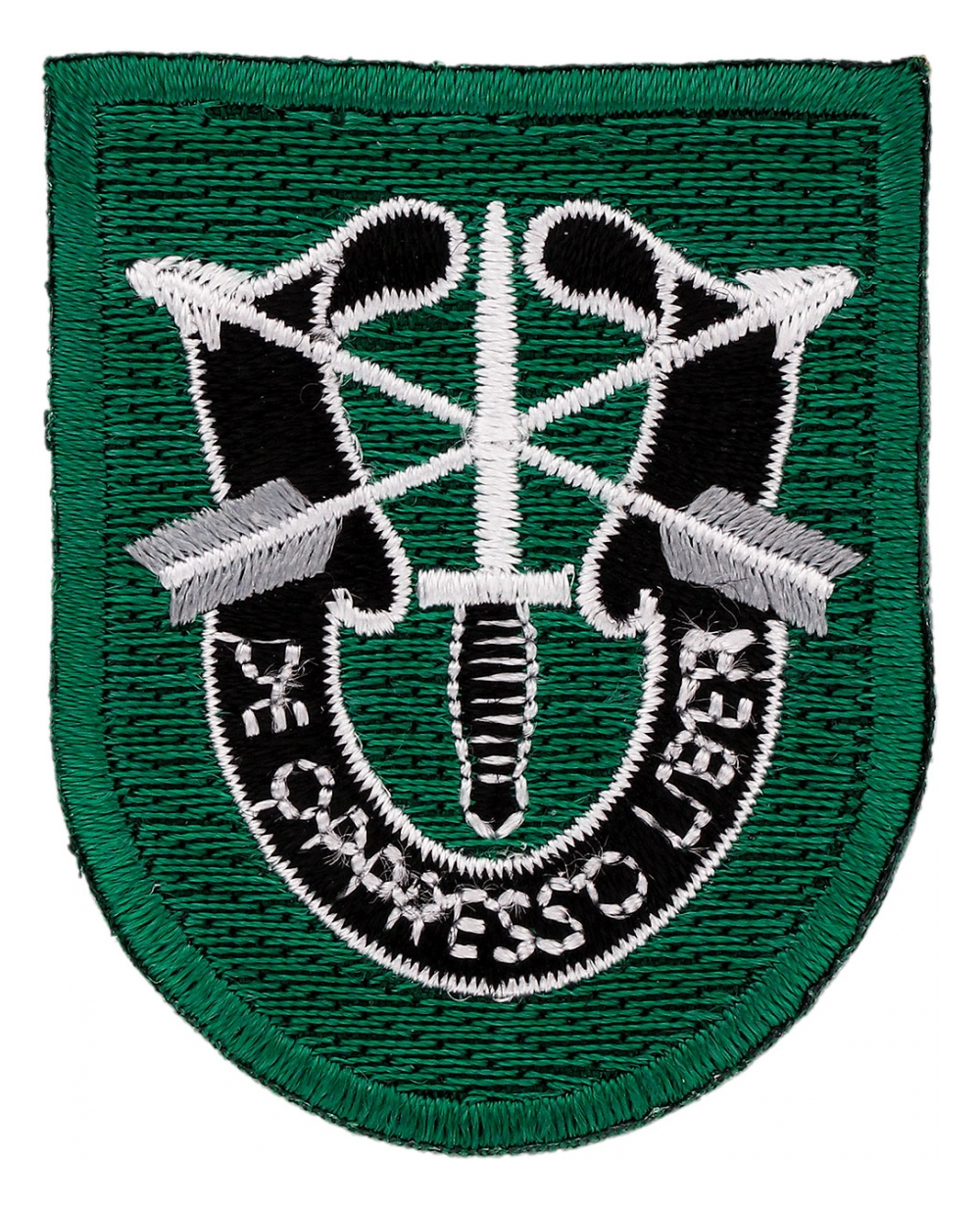 10th Special Forces Group Flash w/ Insignia | Flying Tigers Surplus