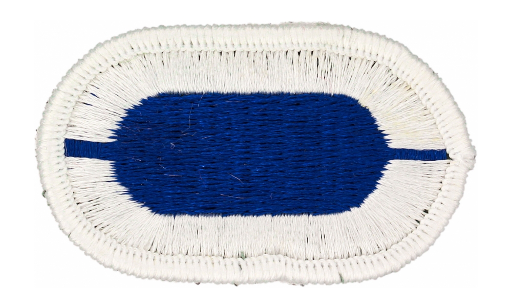 325th Infantry 1st Battalion Oval | Flying Tigers Surplus