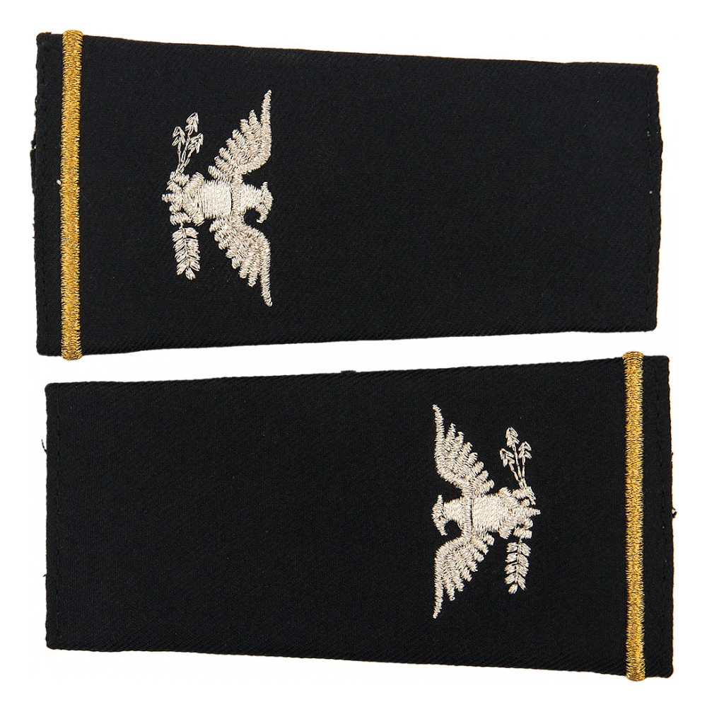 Army Colonel Rank | Flying Tigers Surplus Army Colonel Rank | Flying Tigers Surplus