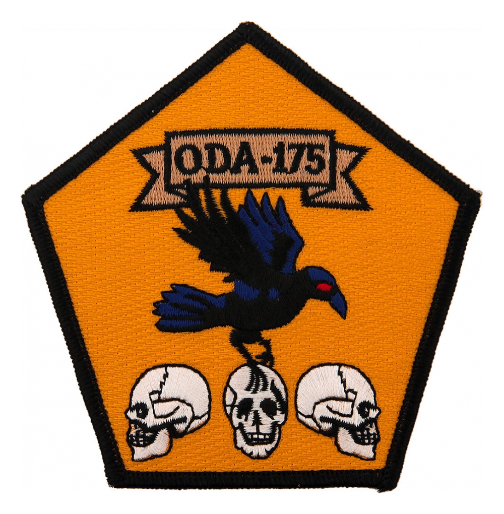 Army Special Forces Patches